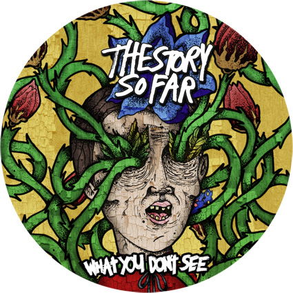 The Story So Far – What You Don’t See (2013) – 12″ Vinyl Record Wall ...