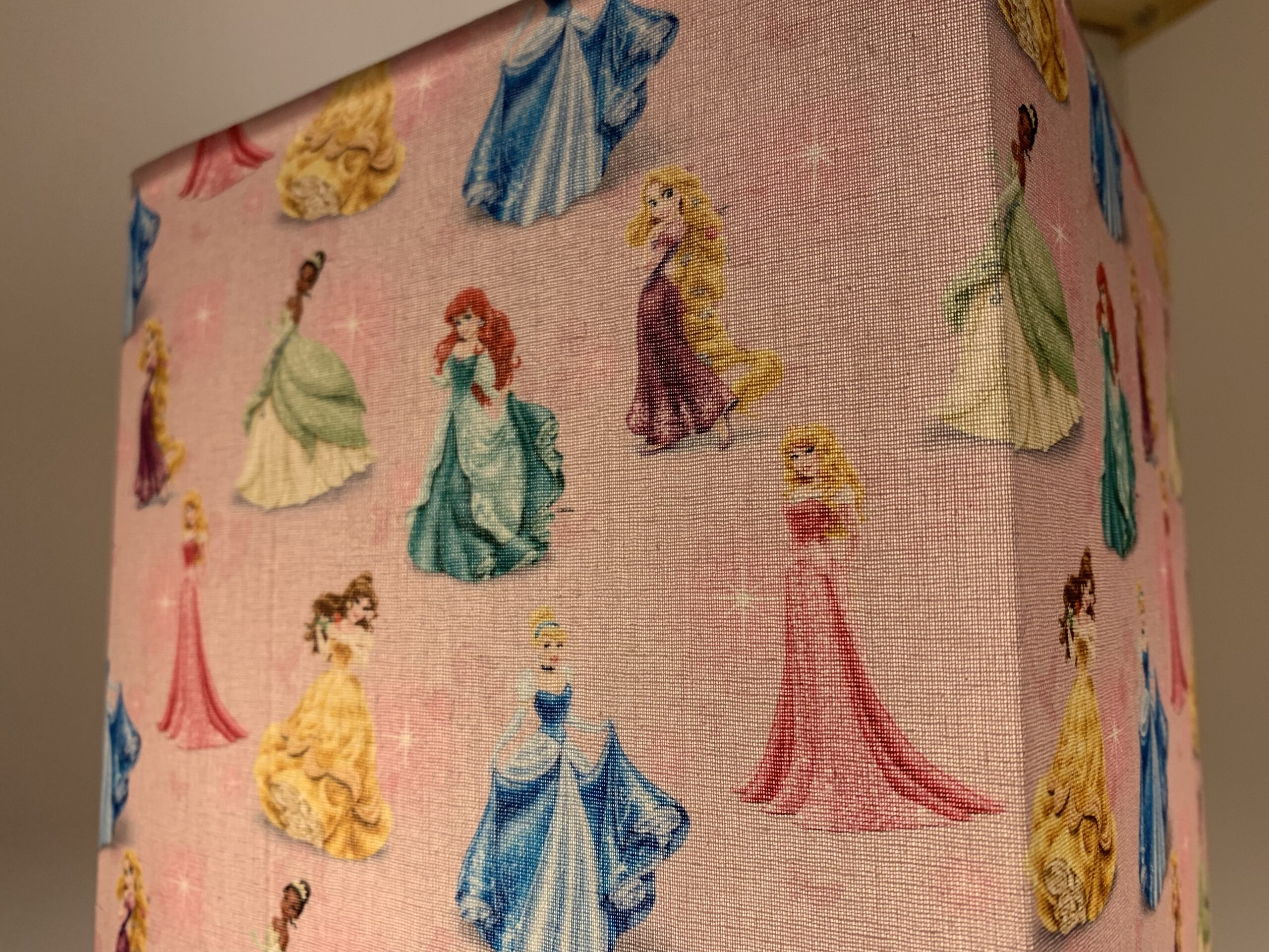 Handmade ‘Disney Princess’ Ceiling or Table Lamp Shade | The Records ...